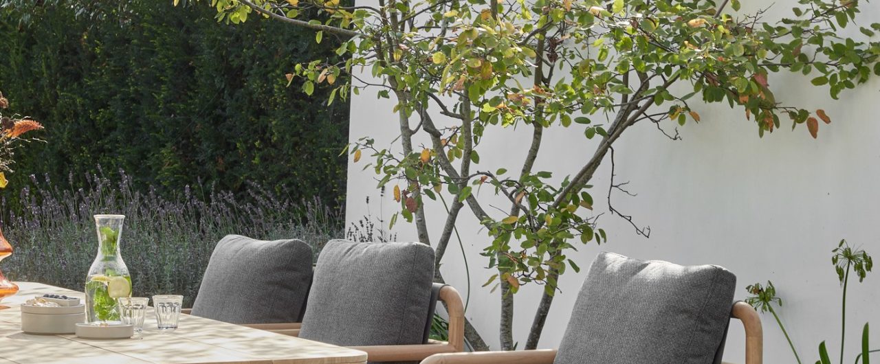 Dining chair 60 product from Dolce dining collection Apple Bee